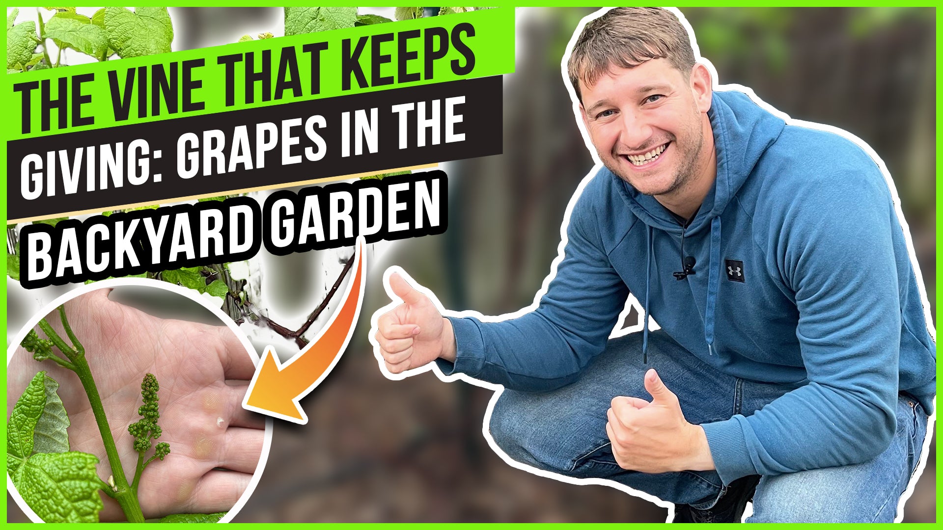 How To Grow Grapes At Home!! | Cheap And Easy Trellis For The Home Gar ...