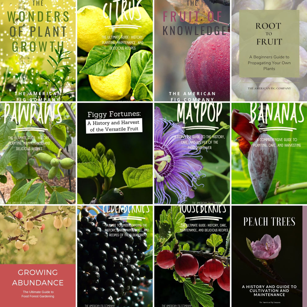Ultimate Ebook Bundle – The American Fig Company