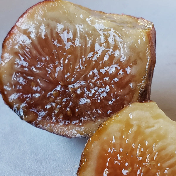 LSU Tiger (cuttings) – The American Fig Company