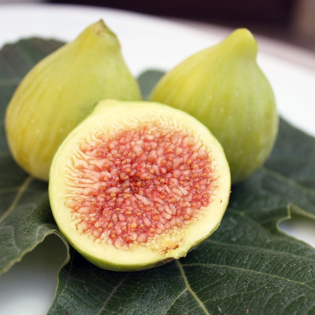 Products – The American Fig Company