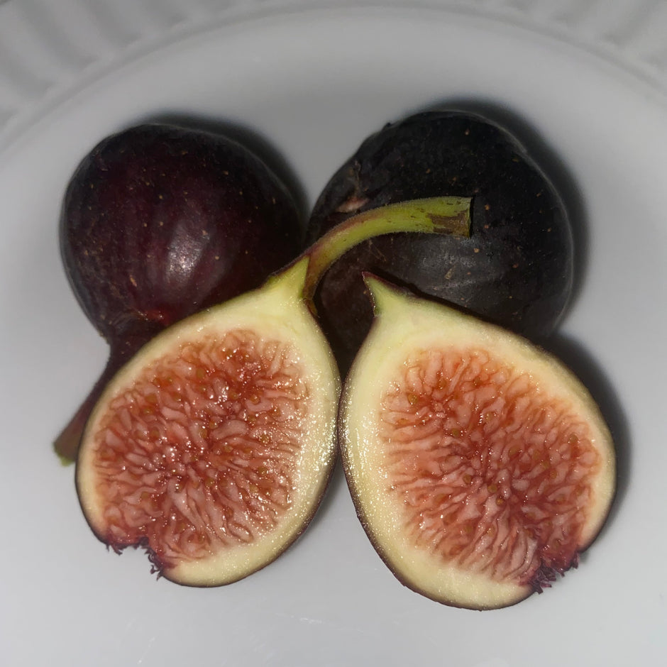 Cold Hardy Fruiting Trees, Bushes, And Vines For Edible Landscapes ...