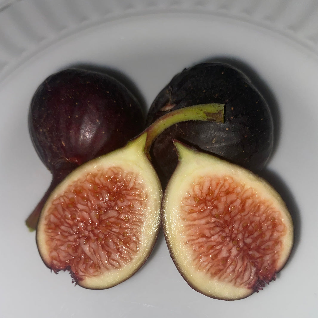 Cold Hardy Fruiting Trees, Bushes, And Vines For Edible Landscapes ...